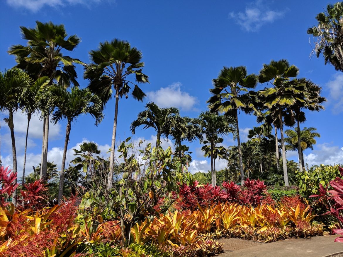 Oahu Travel Guide | What to See, Do and Eat - Schimiggy Reviews